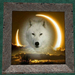 Second Life Marketplace - Wolf Eclipse